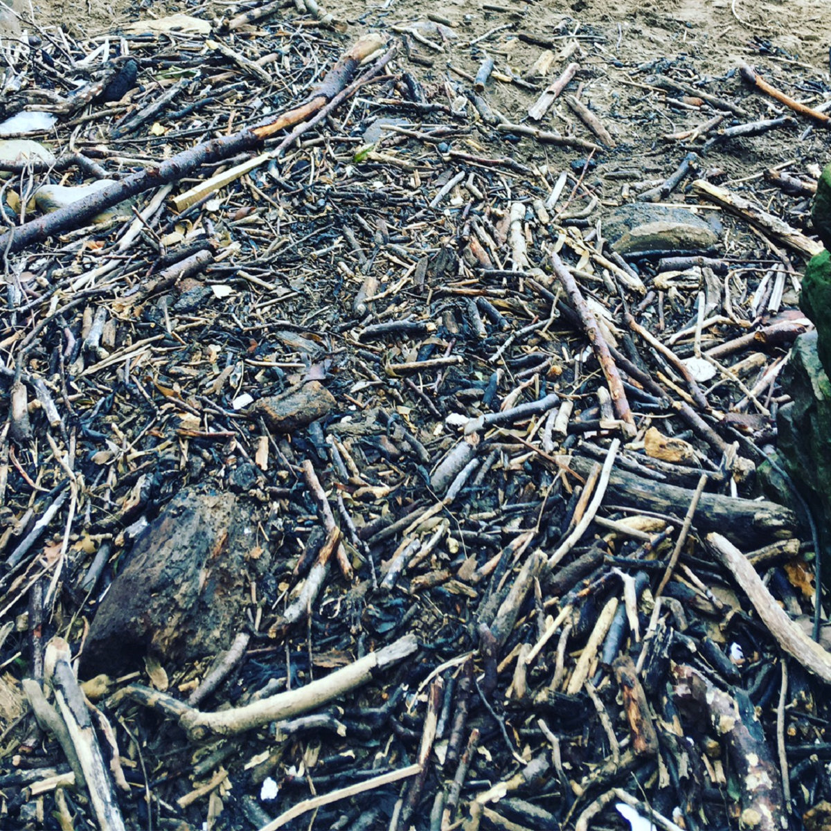 First hour | Dawn Terry