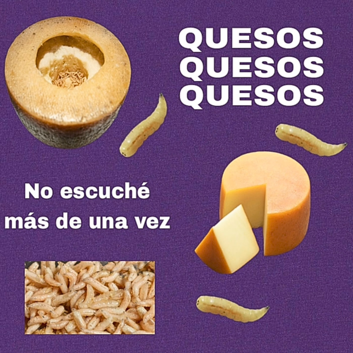 QUESOS | Lethal Poison