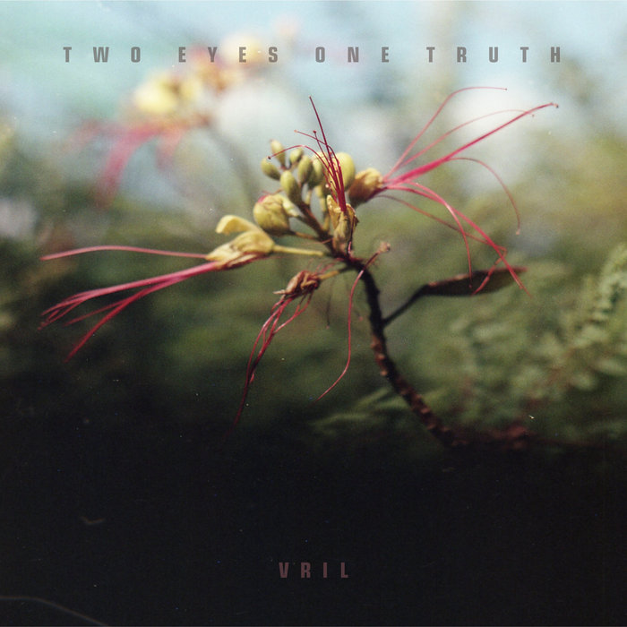 VRIL | Two Eyes One Truth | Switchstance Recordings