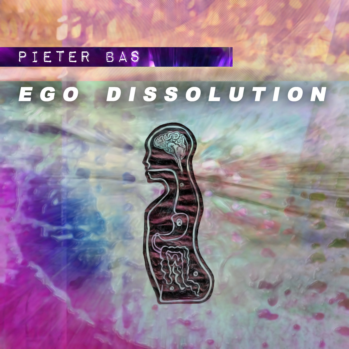 Ego dissolution (Album - special edition) | Pieter Bas