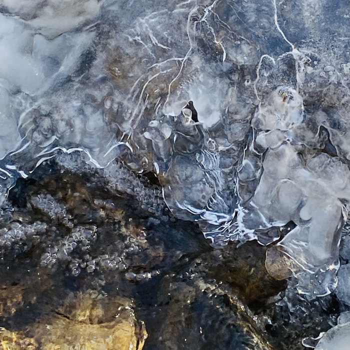 Music from the Wolf Moon | Scott Sheerin and Chris Rosser | Scott Sheerin