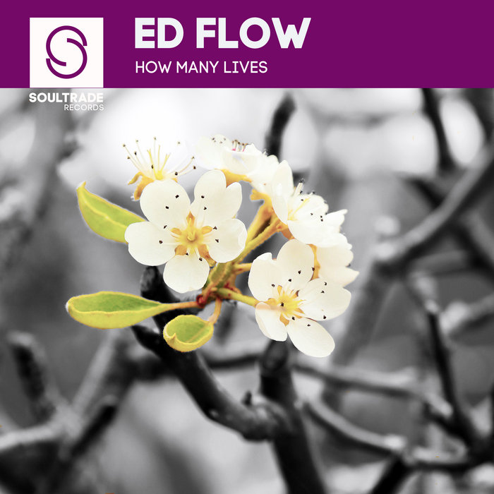 How Many Lives | Ed Flow