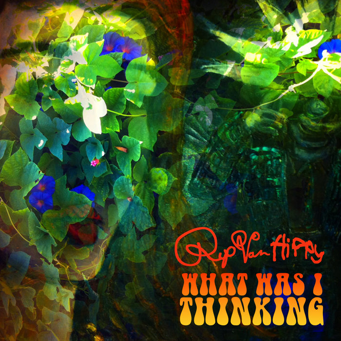 What Was I Thinking | Rip Van Hippy