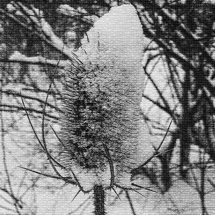 The Four Month Sleep | Jonathan Rager | The Language of Floods