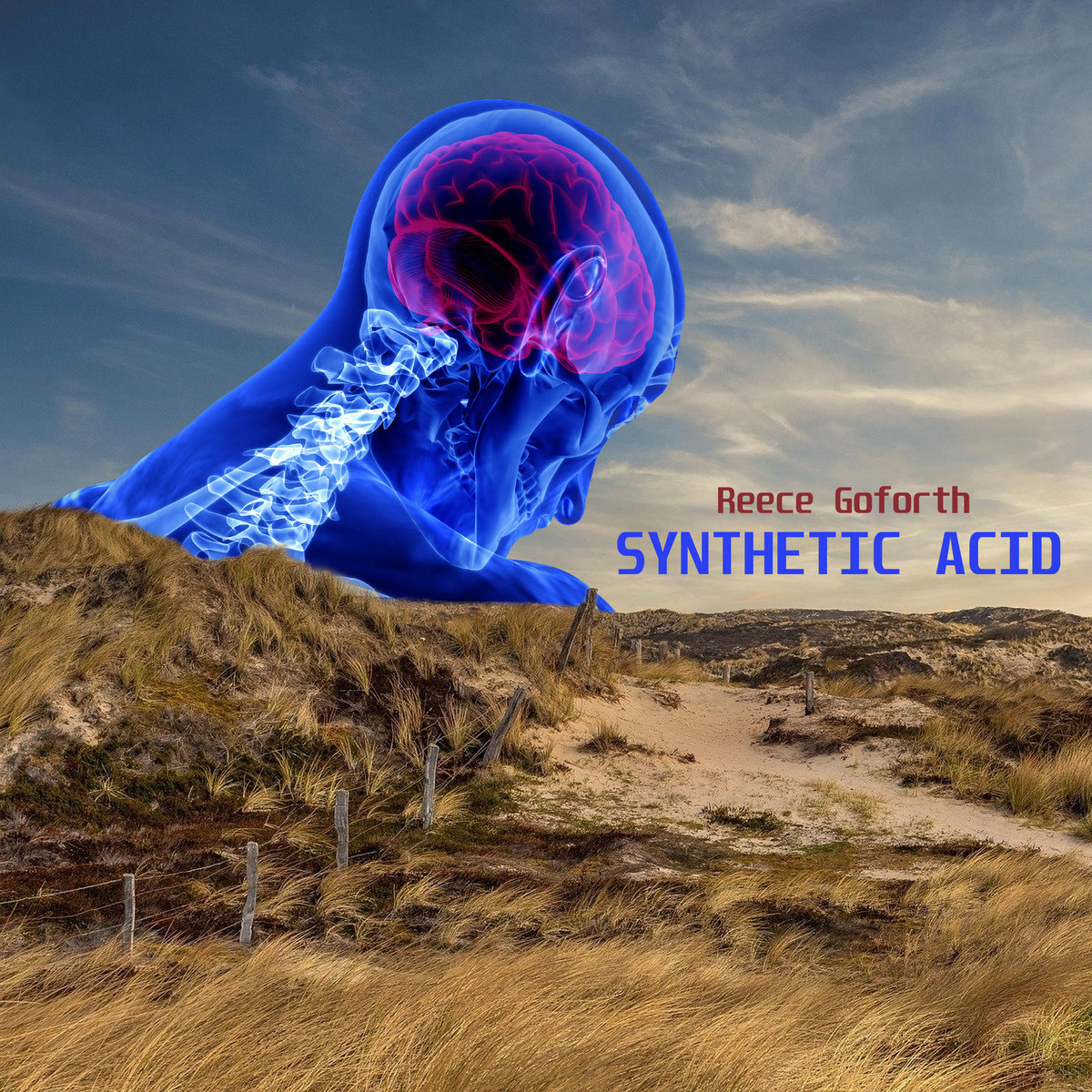 Synthetic Acid | Reece Goforth