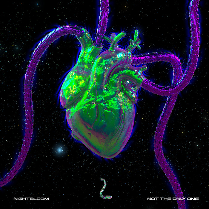 Not The Only One | NIGHT BLOOM | PLASMA