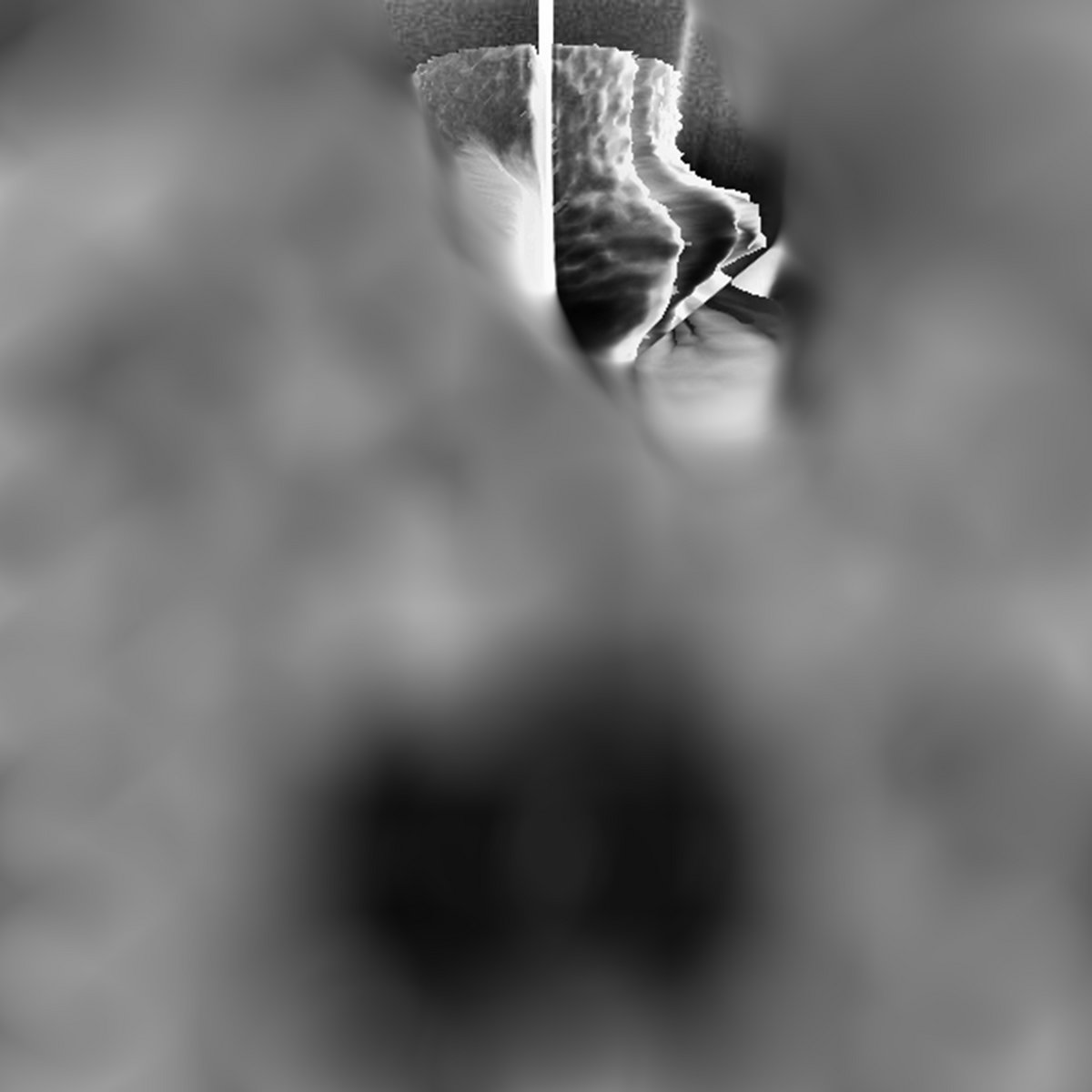 Militant Tendency | Thorn Singh