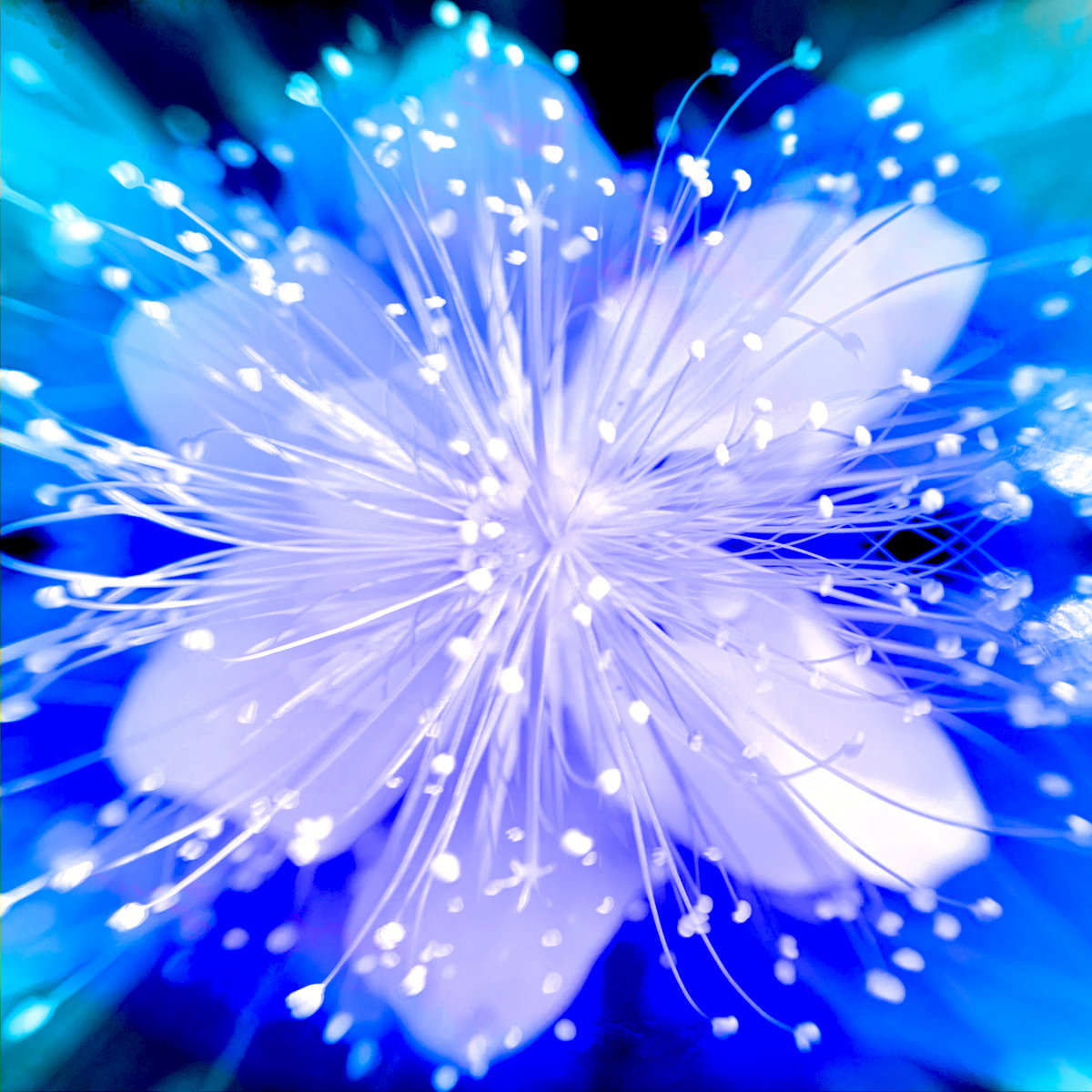 Absolute Heaven [ Primordial NULL-SONIC ] series 1 | KK NULL