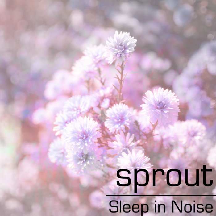 sprout | Sleep in Noise