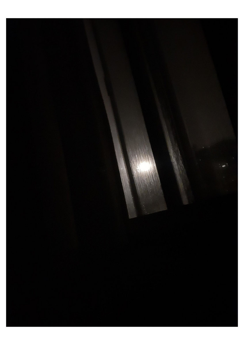 Night School | Sam Shalabi