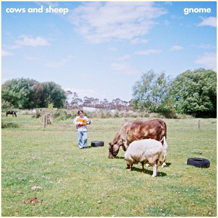 Cows and Sheep | The Gnomes