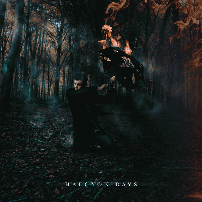 Halcyon Days Album Cover