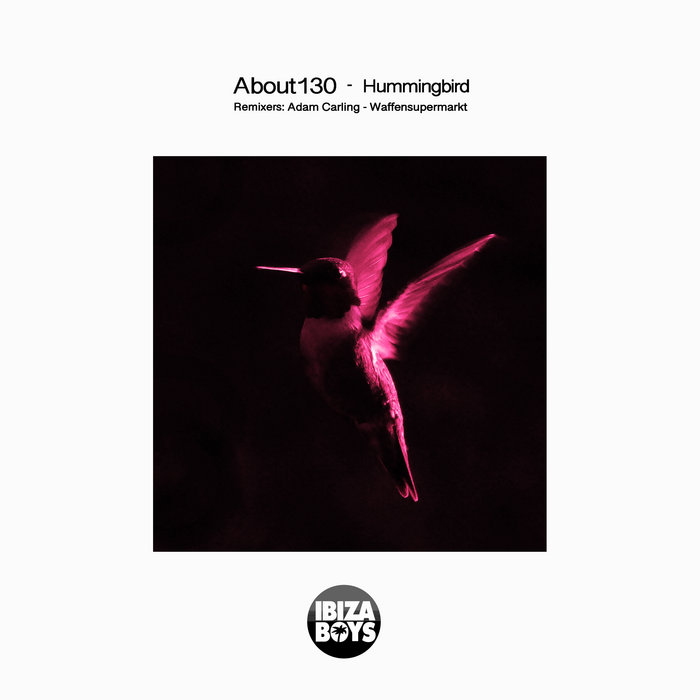 Hummingbird | About130 | Ibiza Boys