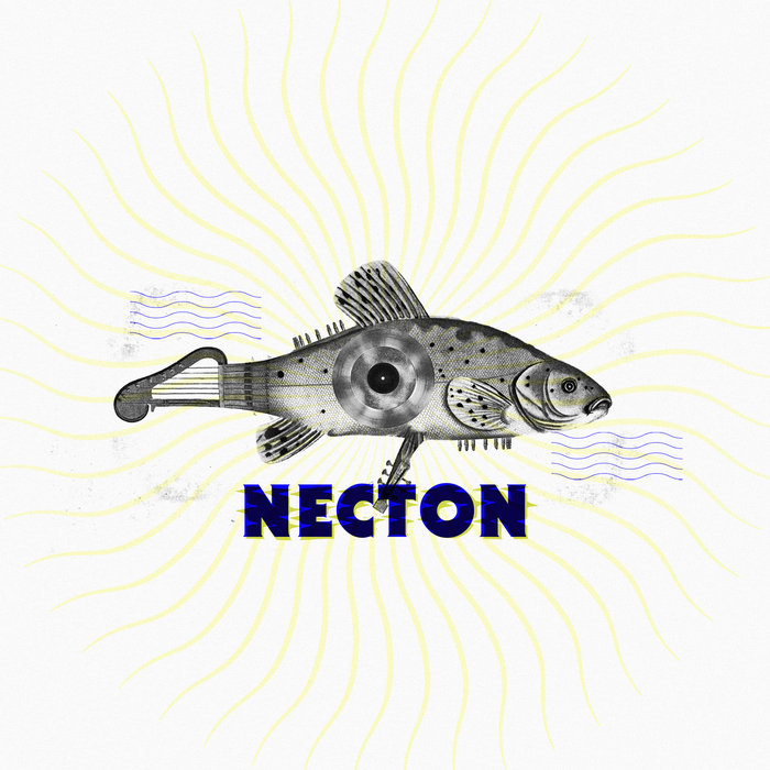 Necton rehearsal | Necton