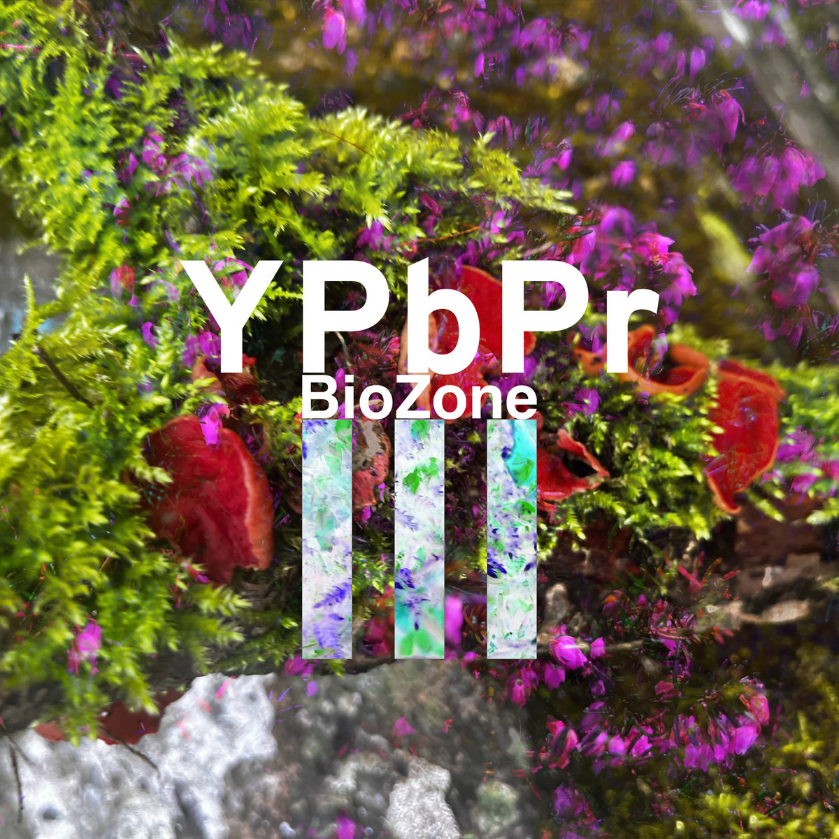 BioZone 3 | YPbPr