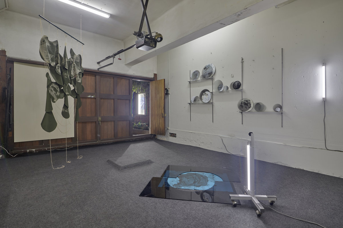 Rosa Violeta tracks - Las rosas del parque | Rosa Violeta | Juan Diego ...