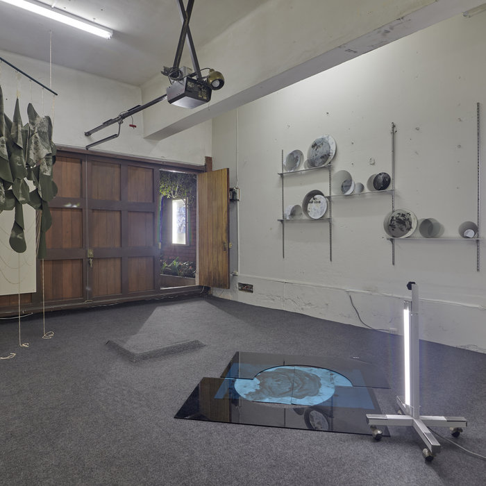 Rosa Violeta tracks - Las rosas del parque | Rosa Violeta | Juan Diego ...