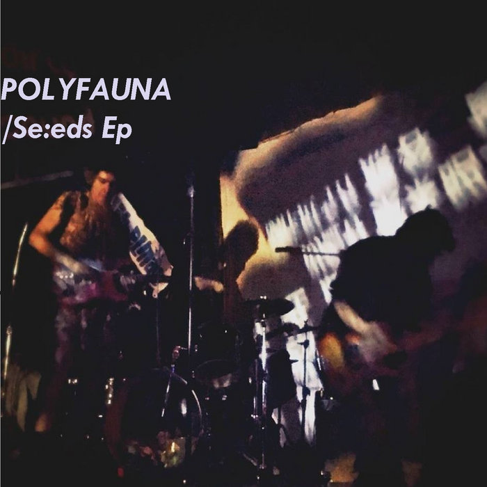 Se:eds | Polyfauna