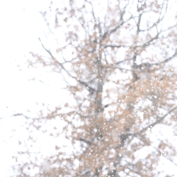 The River | Josh Deal