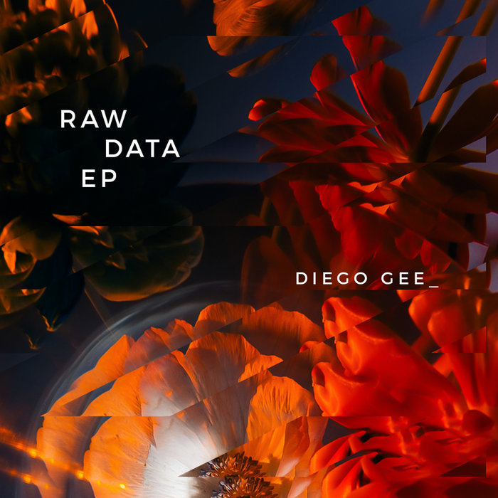 Raw Data EP | Diego Gee