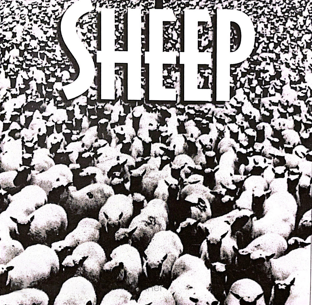 Sheep (Sheep, 2000) | Sheep was Wade Paul, Brandon Blair, and Tuf ...
