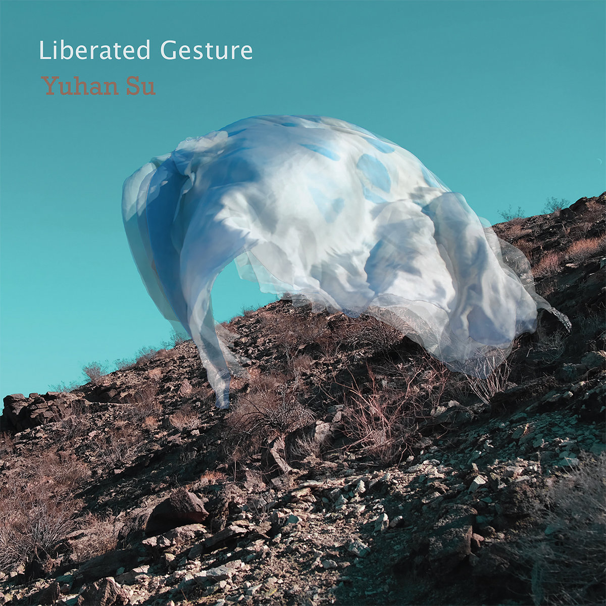 Liberated Gesture | Yuhan Su