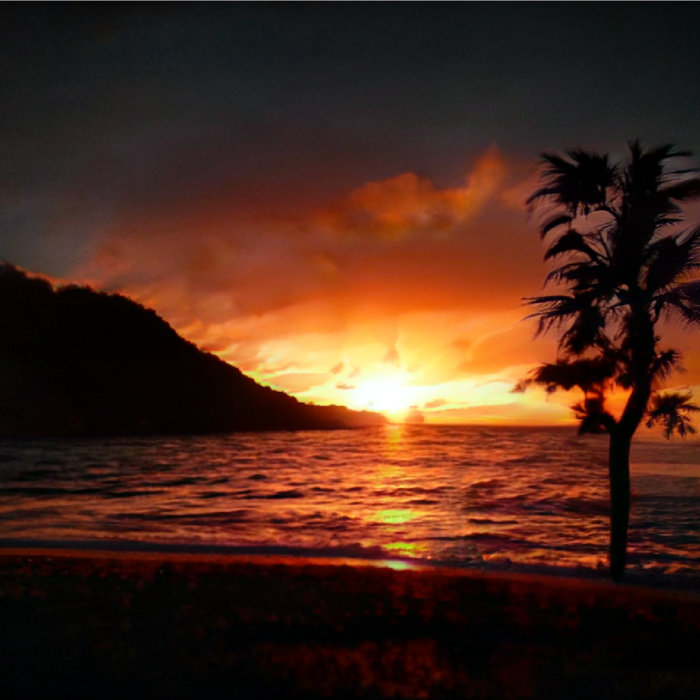 portrait of a warped reality | Teku Dreams