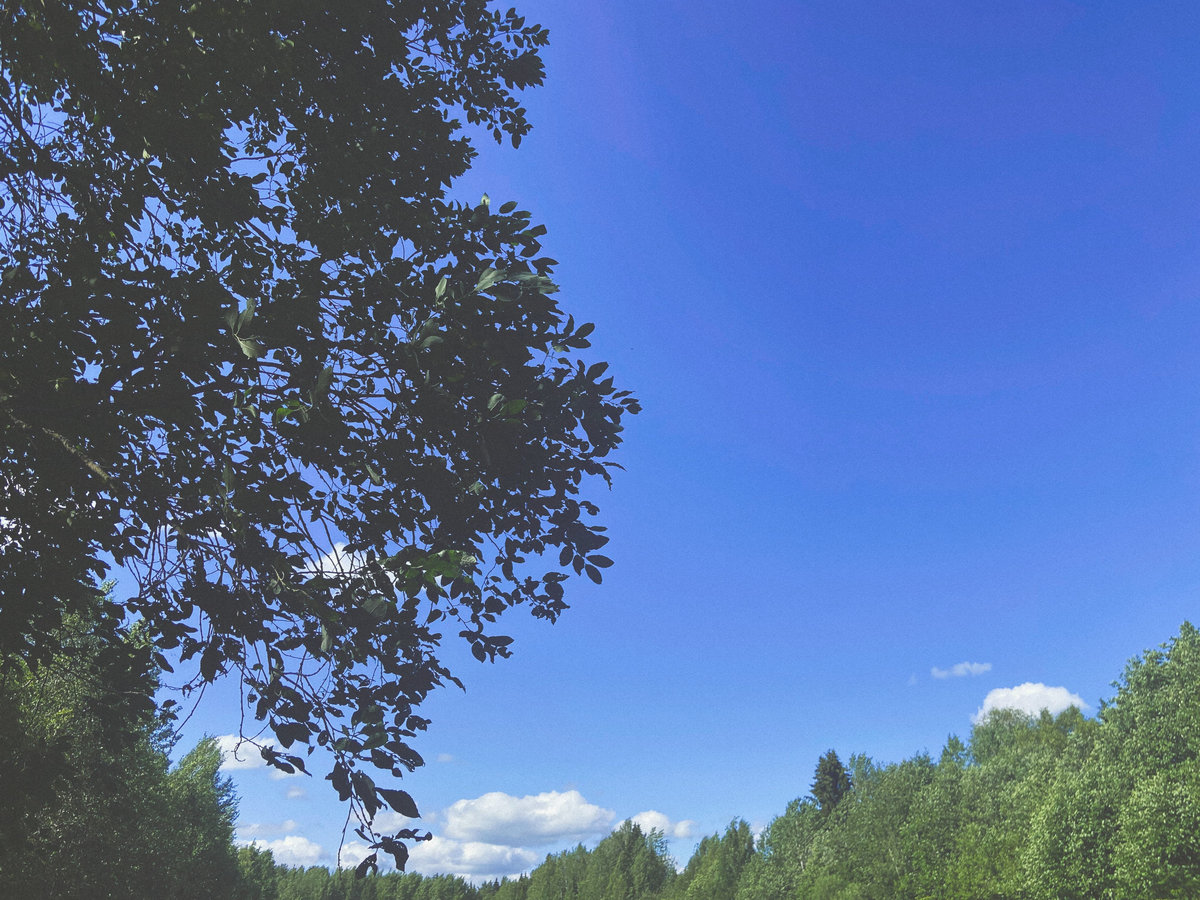 temporal love of blue skies | lurp sheets