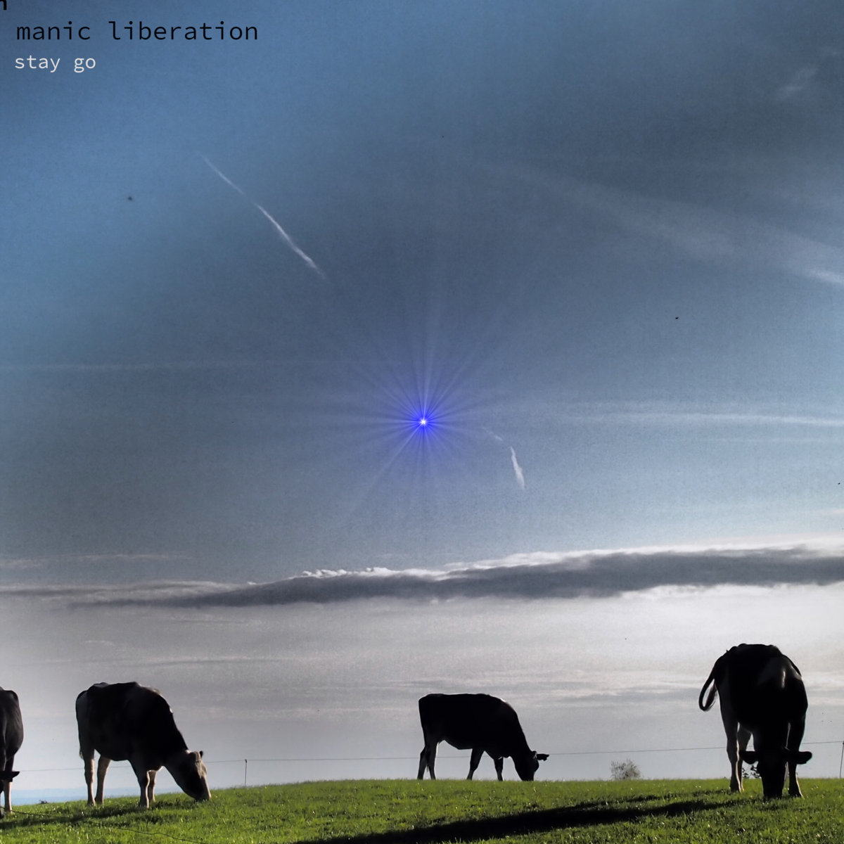 stay go | MANIC LIBERATION