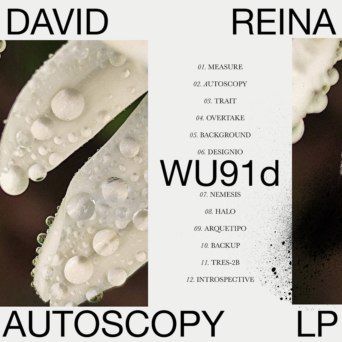 Autoscopy LP - WU91d | David Reina | Warm Up Recordings