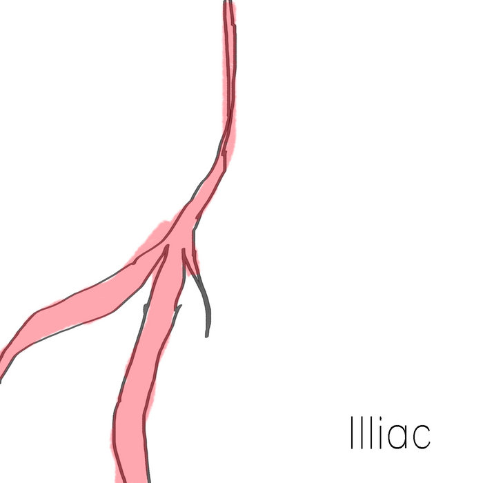 Illiac | Lisa CB | Illiac
