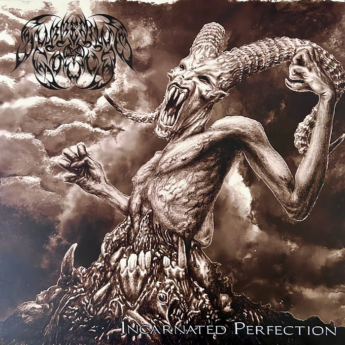 Incarnated Perfection | Suffering Souls