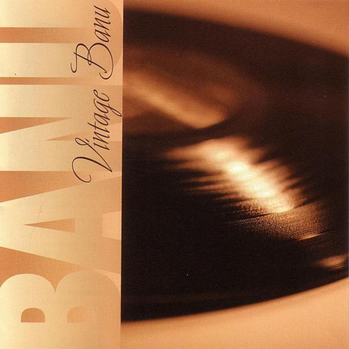 Vintage Banu | Banu Gibson