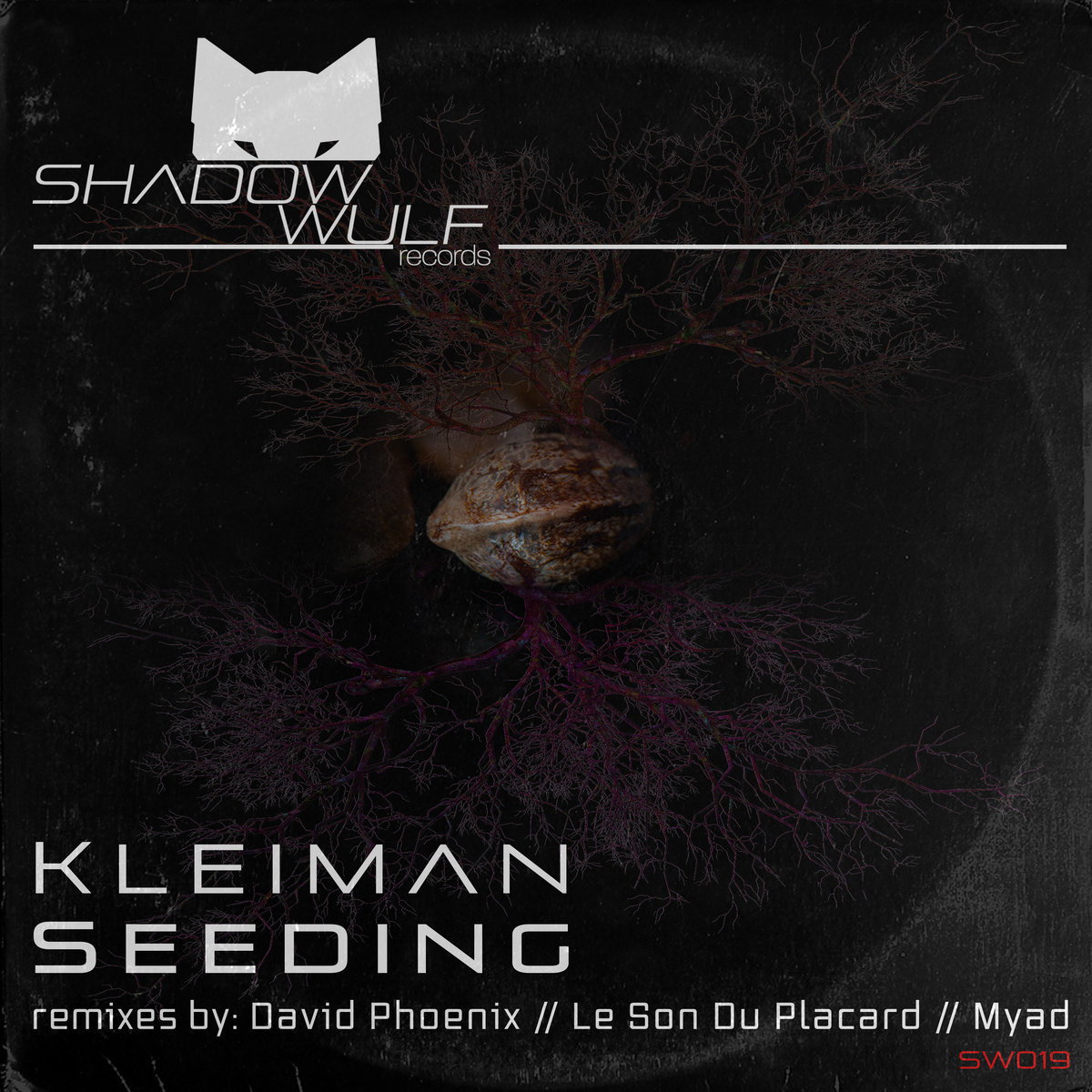 Seeding (David Phoenix Remix) | Kleiman | David Phoenix
