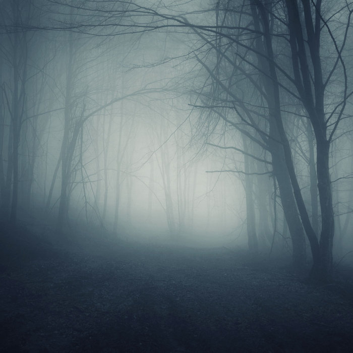 Into The Void | Patrick Leavy | Metzanine