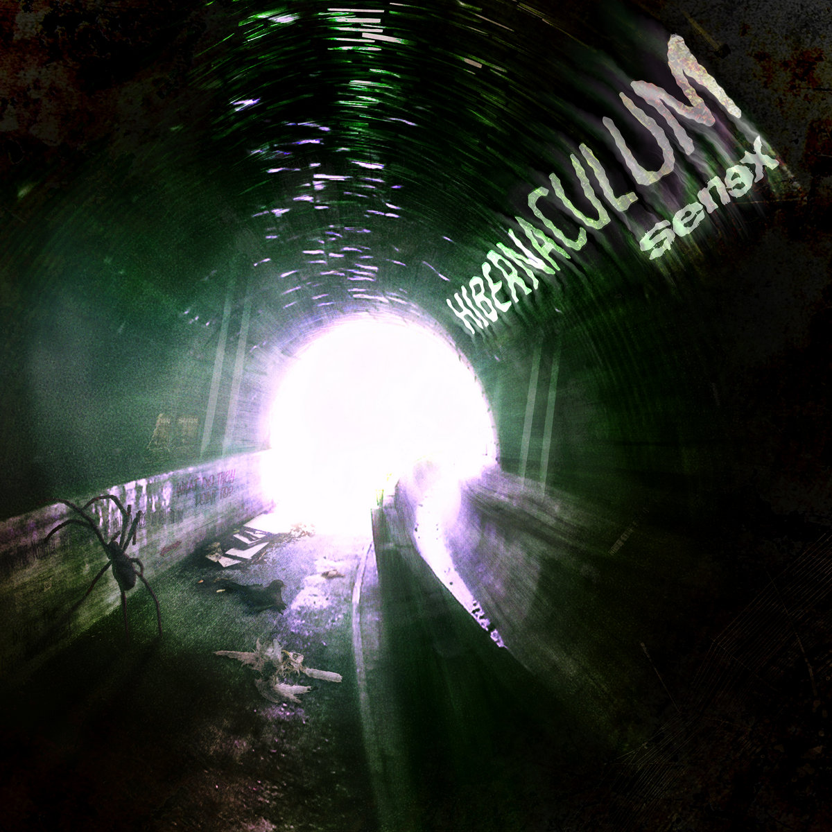 Hibernaculum | senex