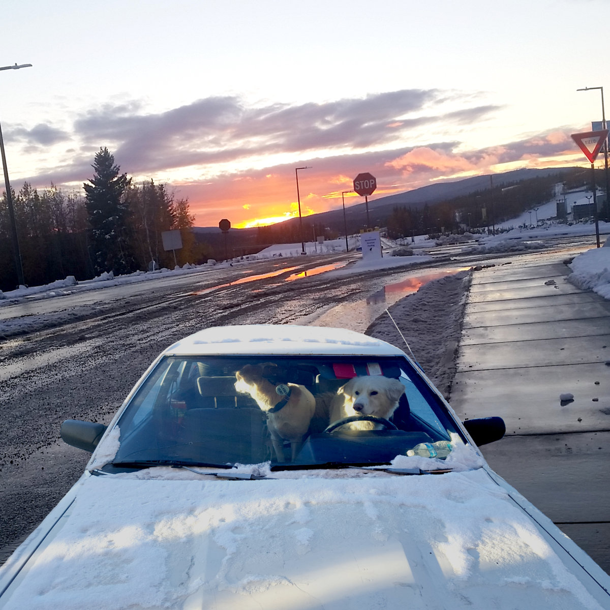 Wind Tracers (Live) | The Willow Walkers