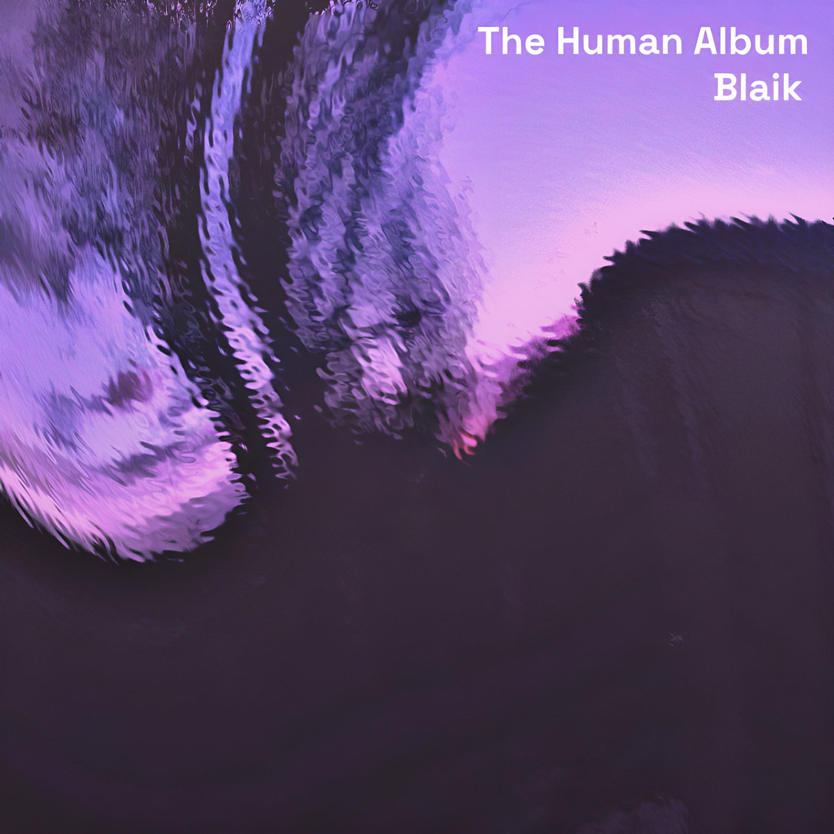 The Human Album (2024) | Blaik.wav