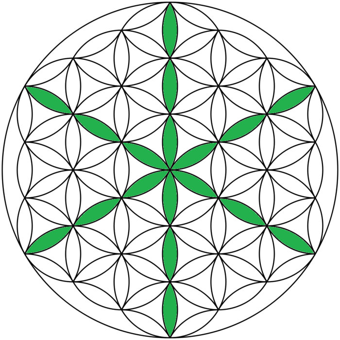 ill-usive (Teaser Track) | Fleur