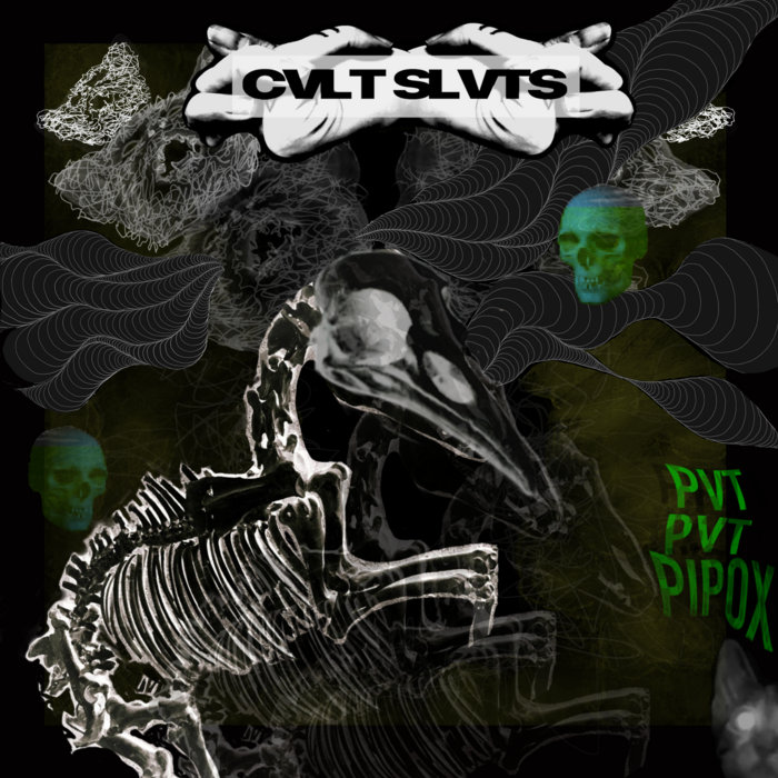 PVT PVT PIPOX | CVLT SLVTS