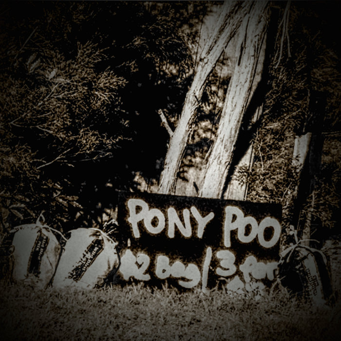 Pony Poo | Ken. Neth and The Pinch