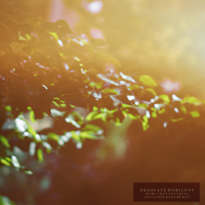 More Than Anything (Fletcher Reed Remix) | Desolate Horizons