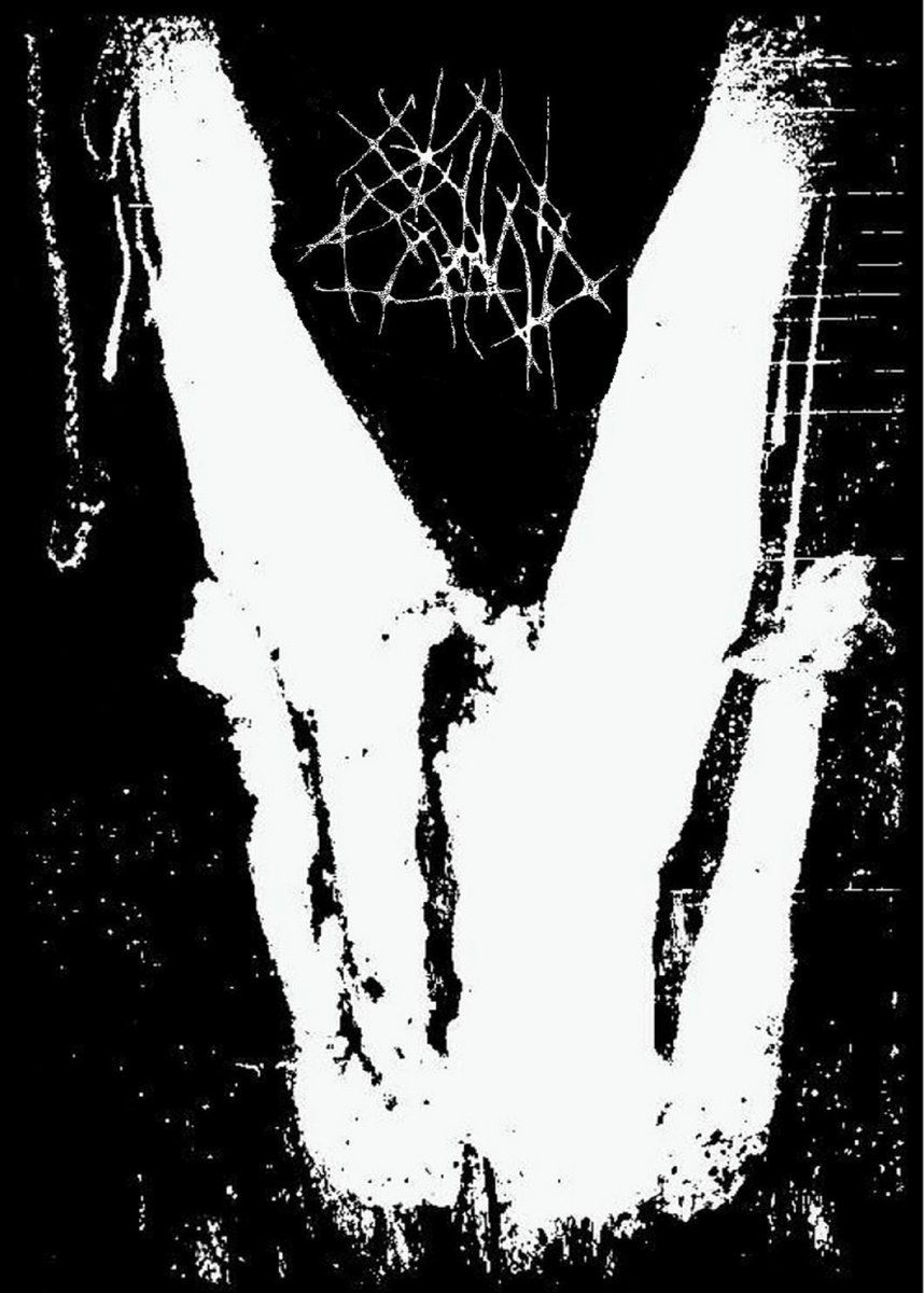 Skin Lamp | SKIN LAMP