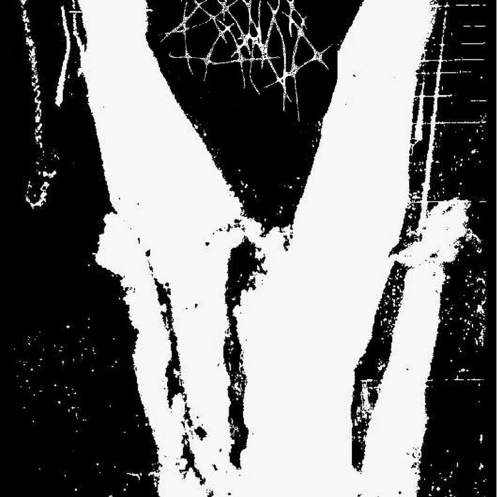 Skin Lamp | SKIN LAMP