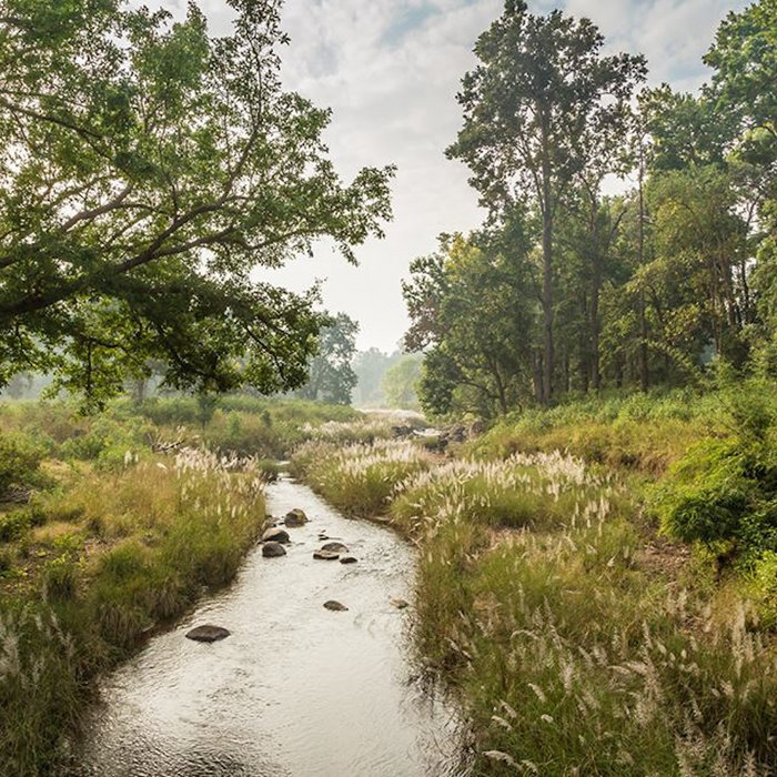 A Brief Escape From Life | blomi