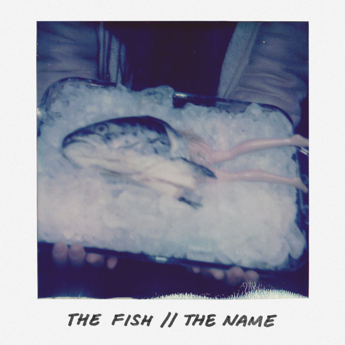 the fish // the name | Salmon Ella