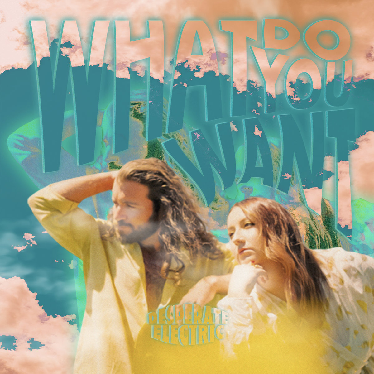What Do You Want | Desperate Electric