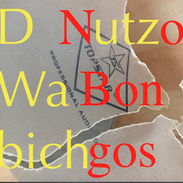 No Bongos! | dutz wabich duo