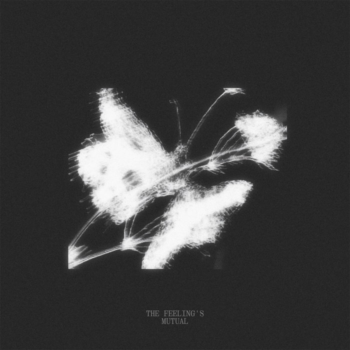 The Feeling's Mutual | Edward Cross