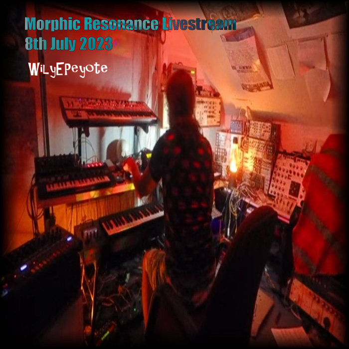 Morphic Resonance 32 | Wily_E_Peyote